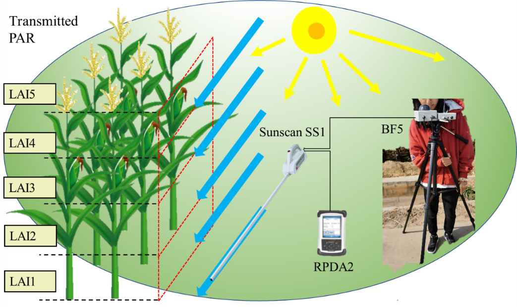 HOME_Institute of Crop Science Chinese Academy of Agricultural Sciences