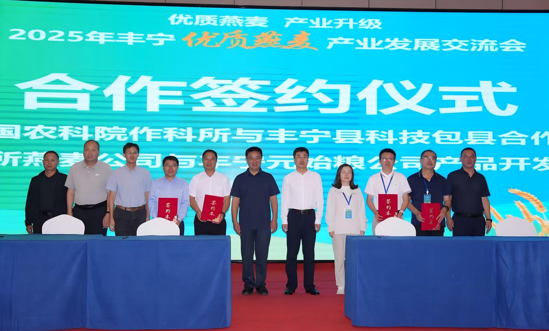 作科所与丰宁县深化燕麦产业科技合作-新闻动态-作物科学研究所